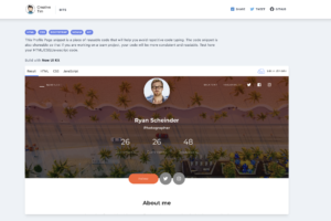 10 Top Code Snippets Libraries For 2020